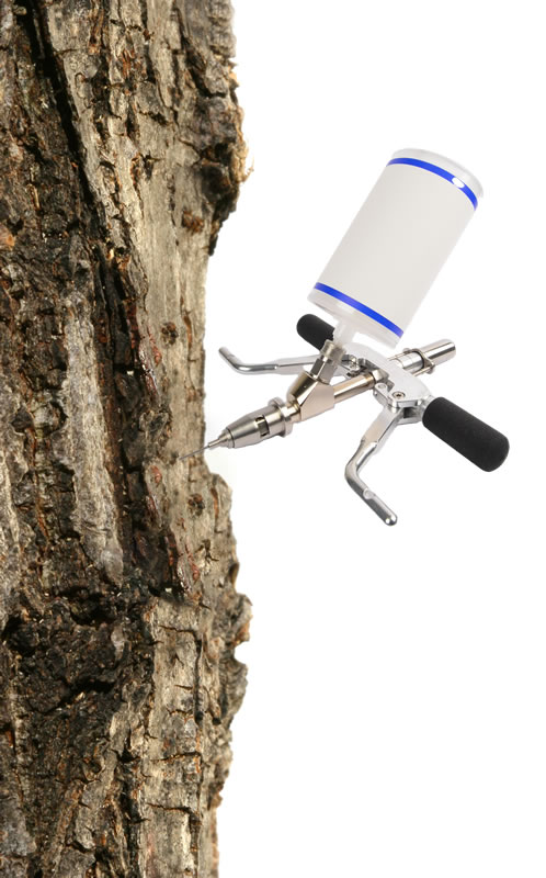 Emerald Ash Borer Treatment Options